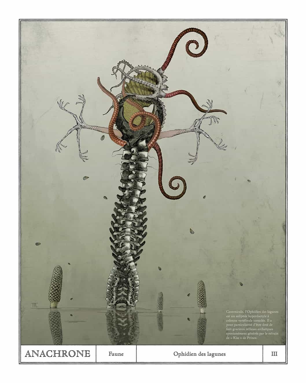 Anachrones | Ophidien des lagunes